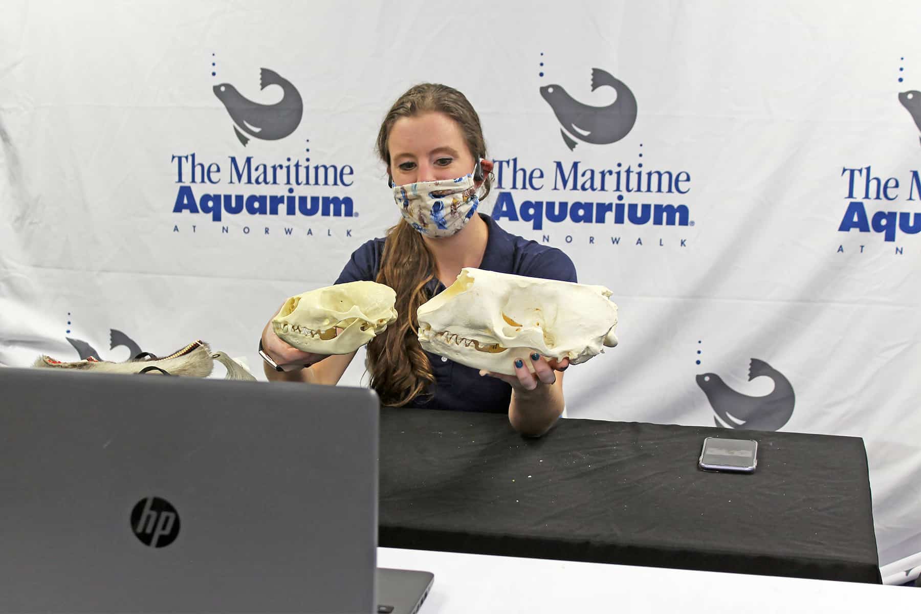 Maritime Aquarium at Norwalk Offers Distance Learning School Programs ...