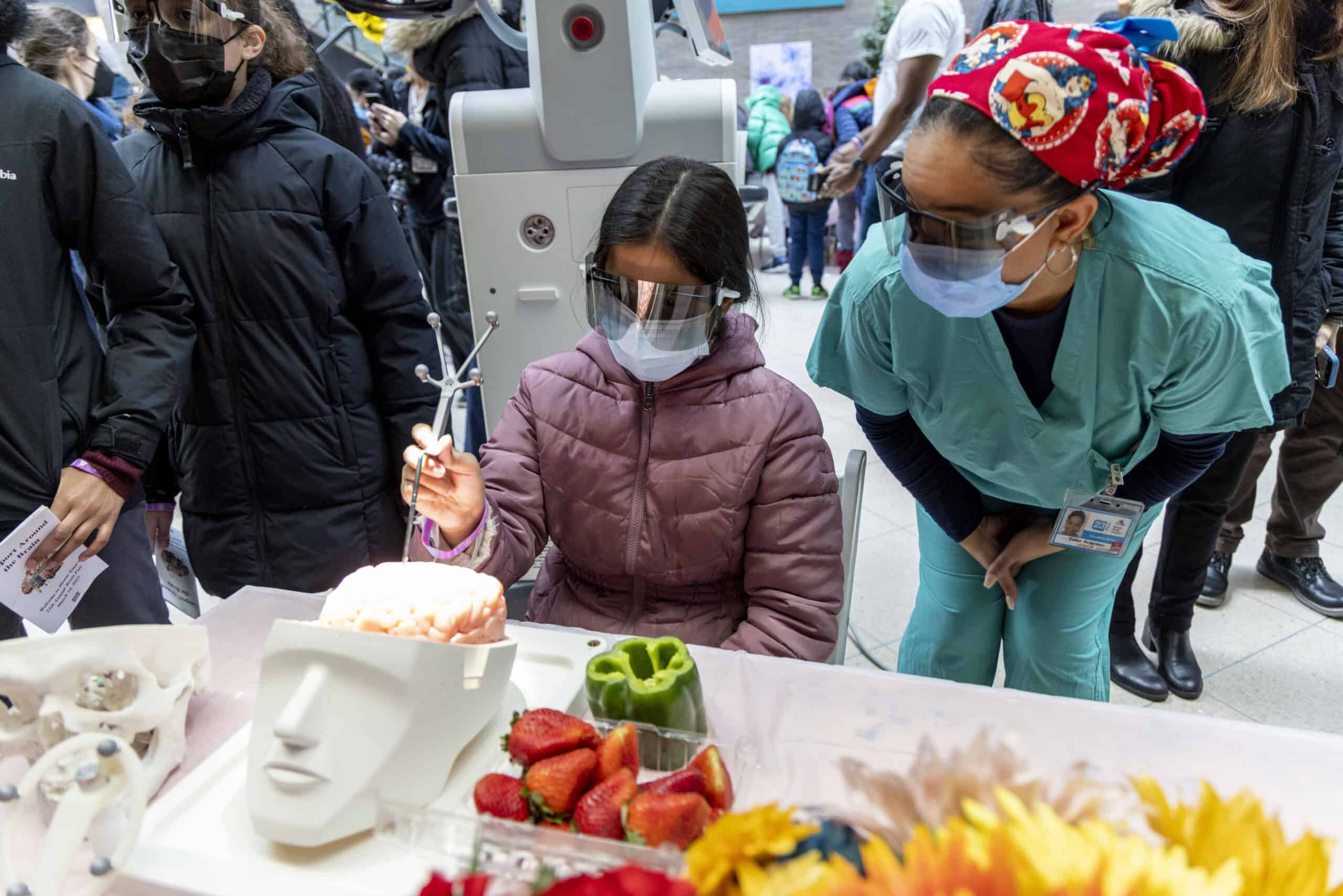11th Annual Mount Sinai Brain Awareness Fair Returns for In Person ...