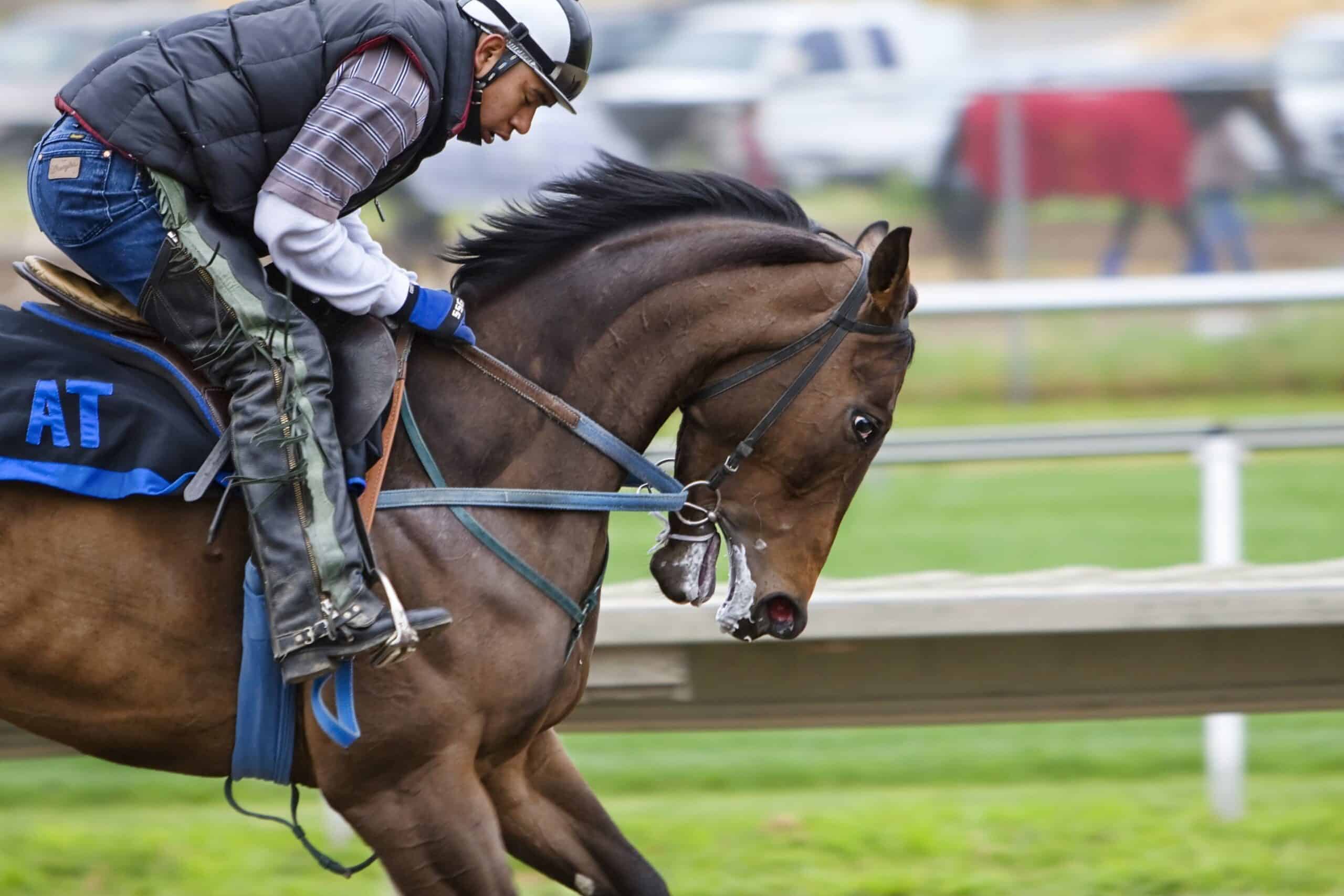 Your Guide to Your First Ever Day at the Races | Yonkers Times