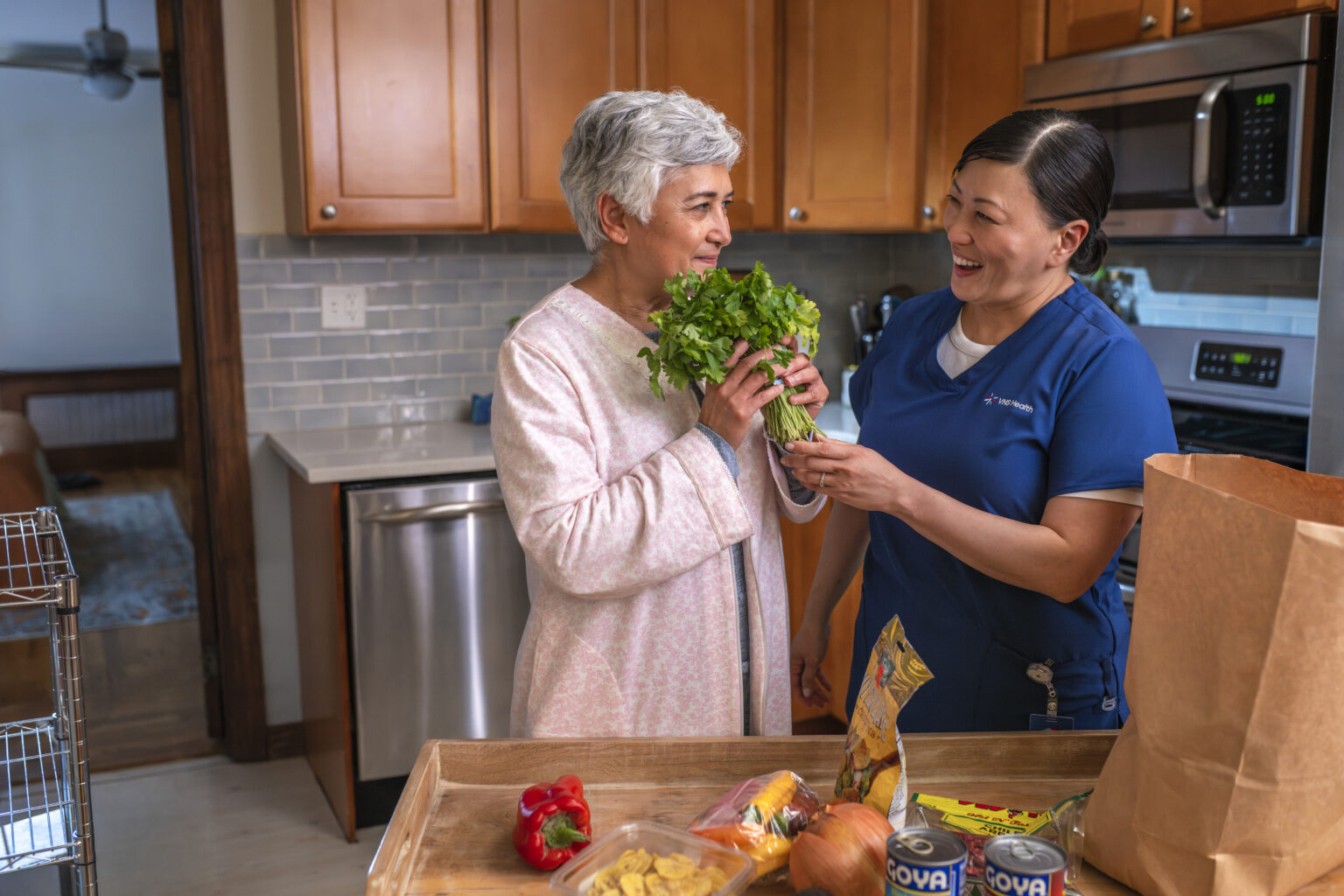 Finding the Right Home Health Aide for Your Loved One: What Family ...