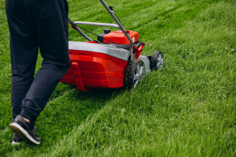 5 Ways Professional Lawn Care Helps Texas Properties Beat The Heat ...