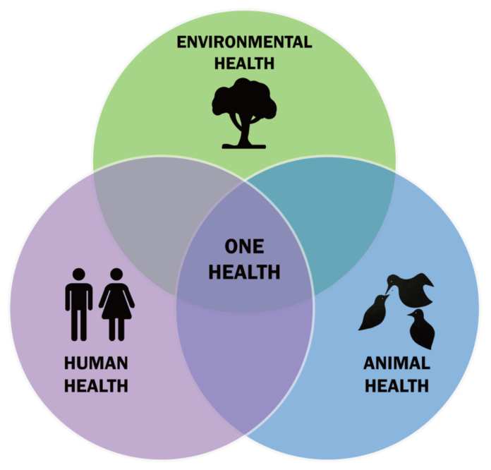America's future depends on the health of its animals | Yonkers Times