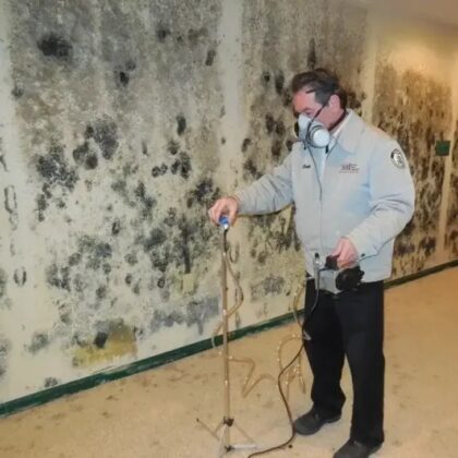 When Should Homeowners Schedule a Mold Inspection? | Yonkers Times