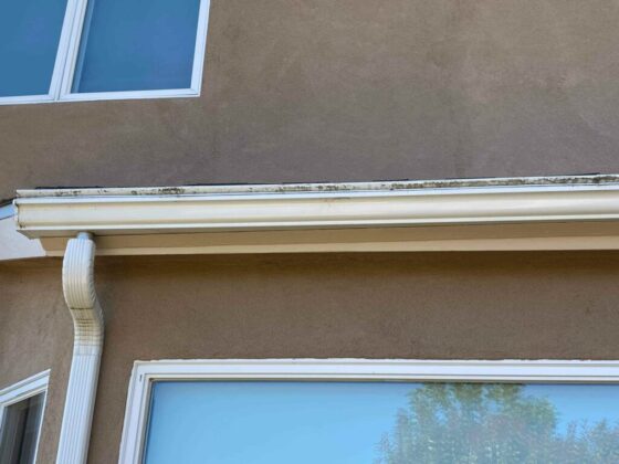 How Gutter Cleaning Helps Prevent Water Damage and Protect Home ...