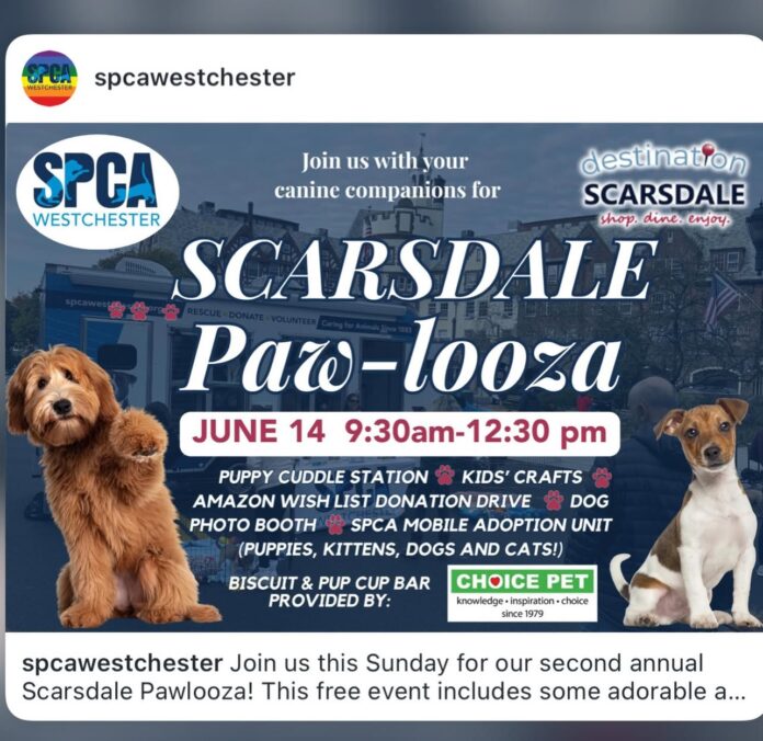 SPCA Westchester's Paw-looza June 14 | Yonkers Times